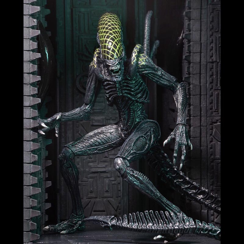 NECA Aliens Warrior Model Alien vs Predator AVP Black Action Figure 7 ...