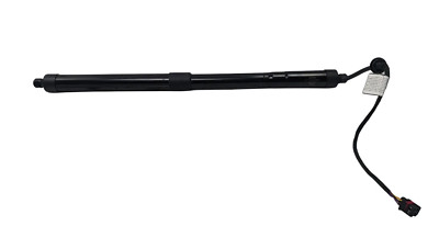 817702W600 Power Tailgate Lift Support for 2013-2018 Hyundai Santa Fe ...