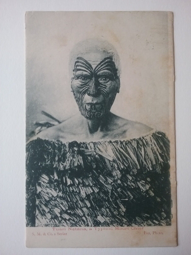 Antique Maori Chief Tuari Netana Postcard New Zealand Maori Warrior | eBay