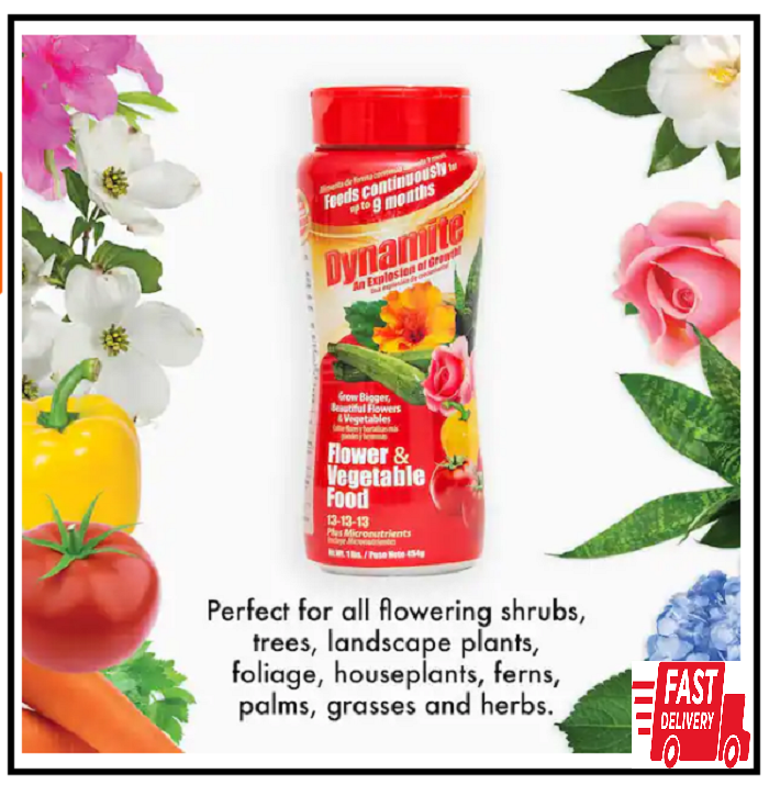 Dynamite 1 lb. All-Purpose Flower and Vegetables Plant Food | eBay