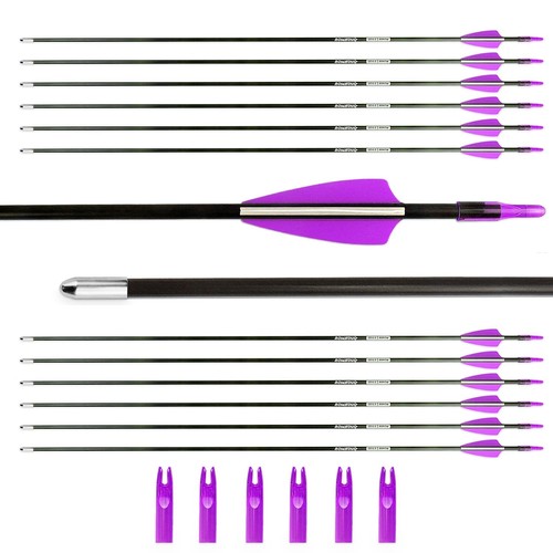 31“ Archery Arrows Training Practice Target Arrows for Youth or ...