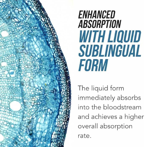 Organic Methyl Folate 1000mcg B12 Sublingual Liquid Berry Flavor 300 ...