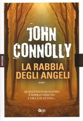 LA RABBIA DEGLI ANGELI di John Connolly ed. One | eBay.de