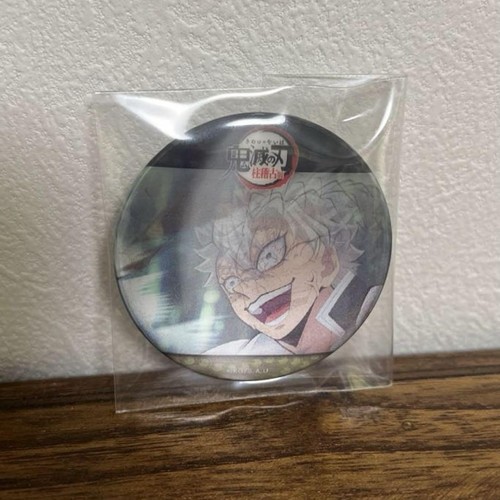 Demon Slayer Kimetsu No Yaiba Sanemi Shinazugawa Animation Can Badge ...