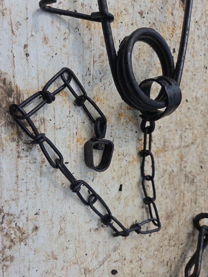 Lot (8) Sleepy Creek 700 Or 220 Size body grip bodygrip Traps Conibear ...