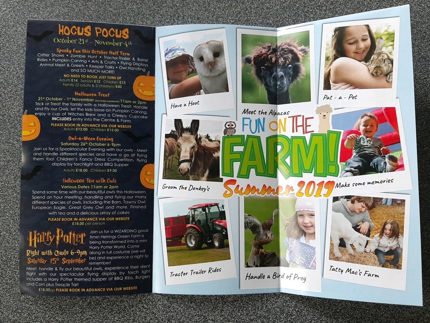 Herrings Green Activity Farm Leaflet / Flyer - Birds Of Prey Centre ...