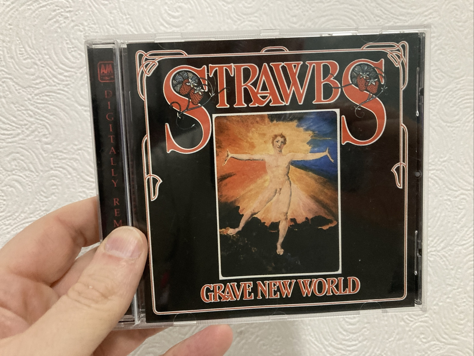 Grave New World by The Strawbs (CD, 2006) for sale online | eBay