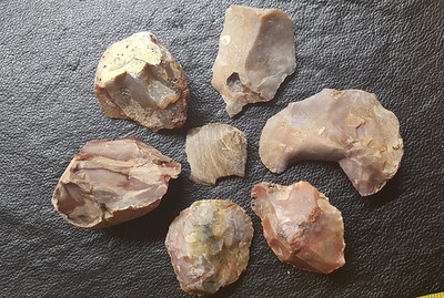 7 Petrified Wood Choppers Flakes Tools Artifacts Arrowheads Native ...