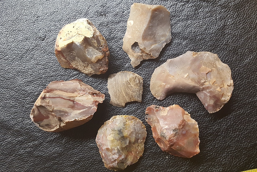 7 Petrified Wood Choppers Flakes Tools Artifacts Arrowheads Native ...