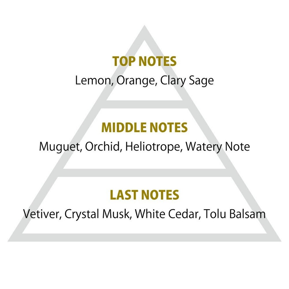 BLUE LOCK Fragrance ISAGI YOICHI Perfume 30ml (1.0fl oz) with a card ...