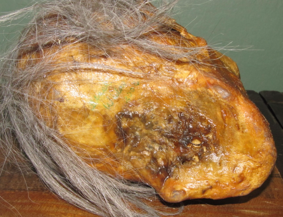 REALISTIC HORROR MUMMIFIED HALLOWEEN PROP SIDESHOW GAFF ROT SKULL SCARY ...