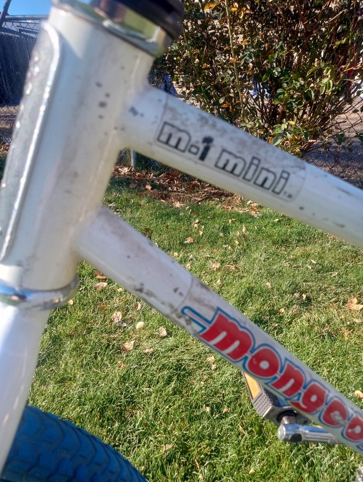 1986 Vintage Mongoose M1 Mini California BMX Kids Race Bike+ Blue V ...