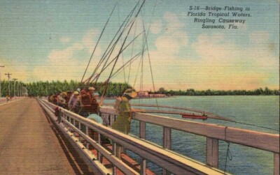 Linen Postcard Ringling Causeway Bridge Fishing Sarasota Flordia FL UNP ...