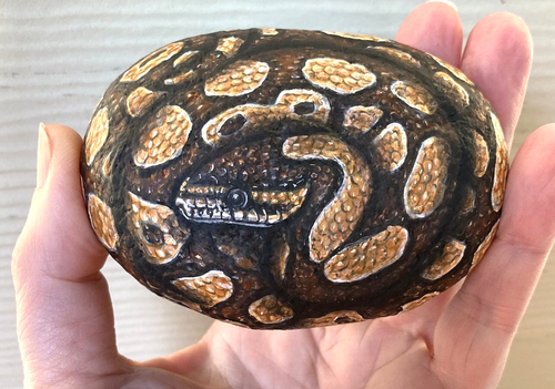 Ball Python Snake Hand Painted Rock Art - Realistic Wildlife Decor ...