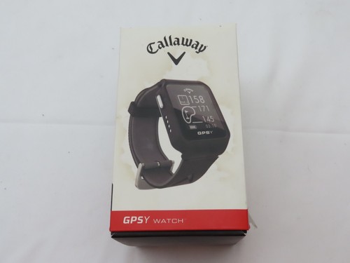 Problems updating callaway gpsy watch - lityvictoria