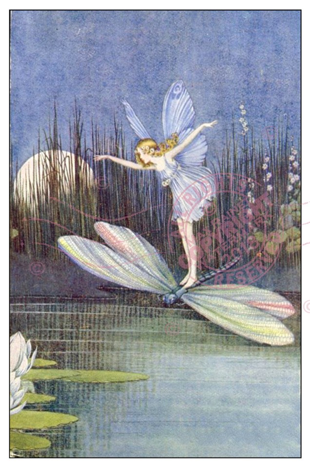 Winged Fairy NYMPH rides DRAGONFLY over Lily Pond Night ~ Fine ART ...
