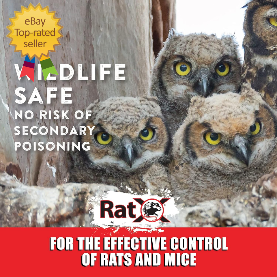 Ecoclear Products 620100-6D Ratx All-Natural All Species Rat Mouse, 8 Oz. Bag | eBay