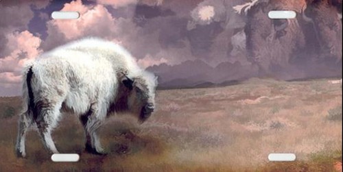 White Bison on Field License Plate Free Names on this Plate ...