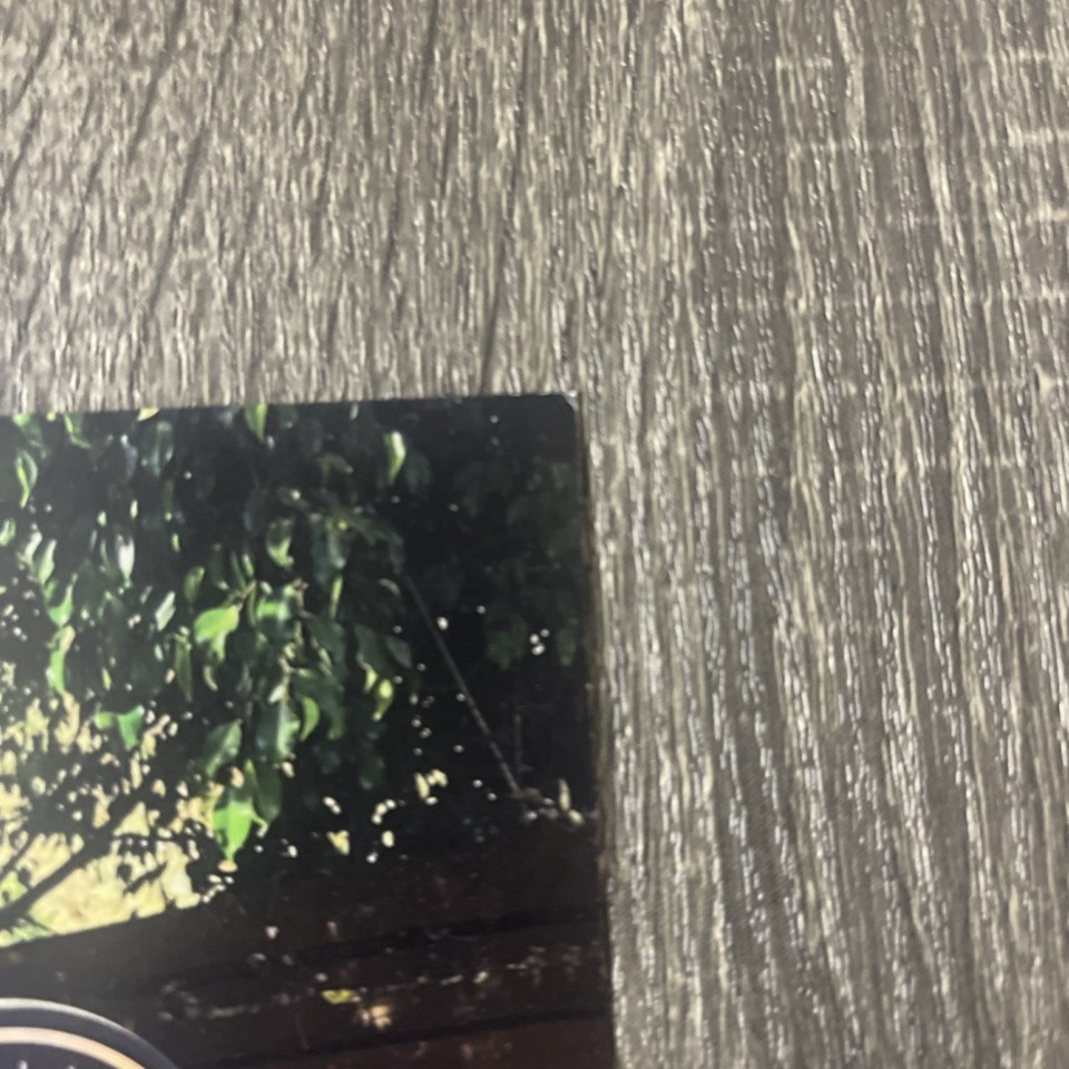 Steve-O Autograph Signed 8”x10” Photo Jackass MTV Steve O Signed At ...