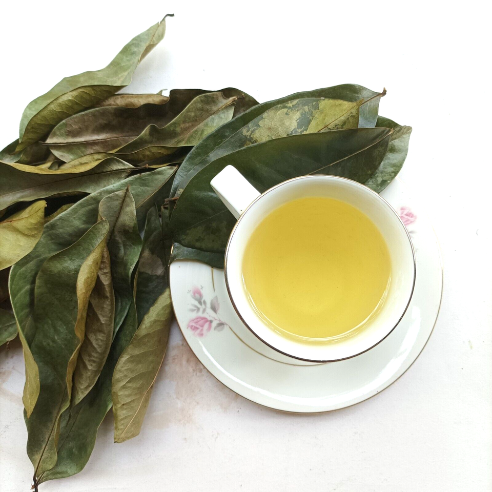 Dried Soursop Organic Natural Tea Leaves Graviola Hojas Guanabana ...