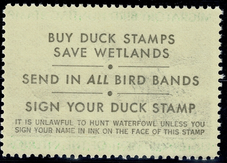 US Duck Stamp Scott #RW48 VF MNH, $7.50, Below Face! | eBay