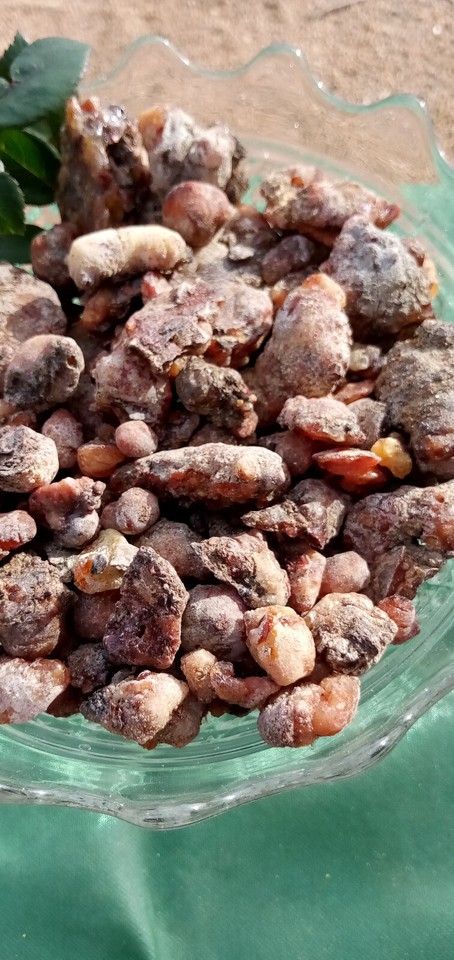 Piñon Pine Tree Sap/Resin/Pitch from SW New Mexico 1oz.-2lb. Incense ...
