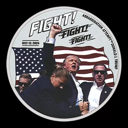 U.S. Seller - Donald Trump Shooting Assassination Attempt Fight Art ...