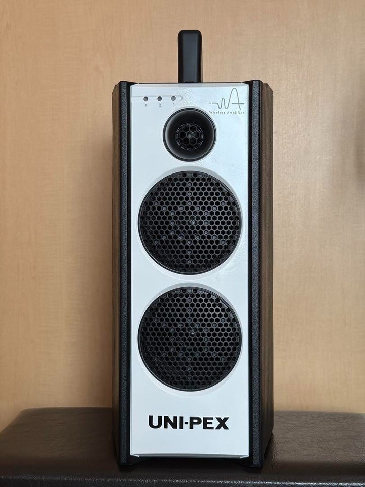 UNI-PEX Wireless Speaker with 2 Microphones | eBay