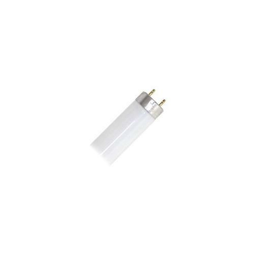 Philips 145581 - F25T8/TL841/PLUS/ALTO Straight T8 Fluorescent Tube ...