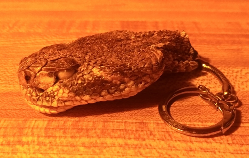REAL Western Diamondback Rattlesnake Head Keychain Taxidermy Key Chain ...