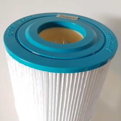 Hayward C750 Replacement Cartridge Filter - Aussie Gold Darlly | eBay ...