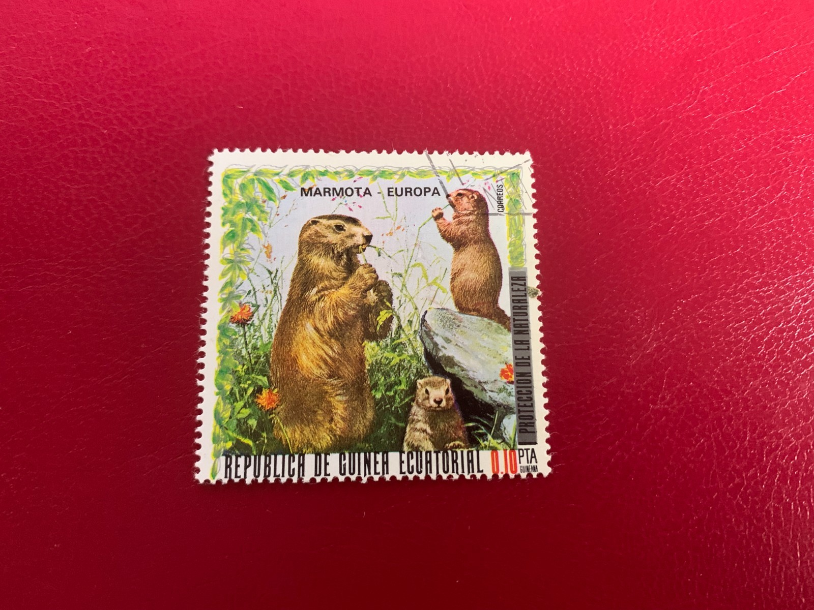 EQUATORIAL GUINEA 1976 USED EUROPE ANIMALS MARMOTA MARMOT | eBay UK