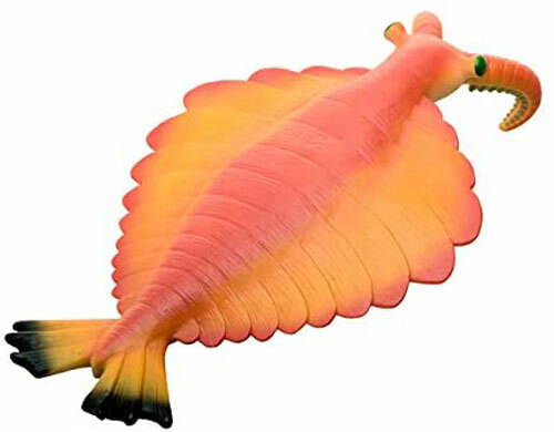 Anomalocaris Size