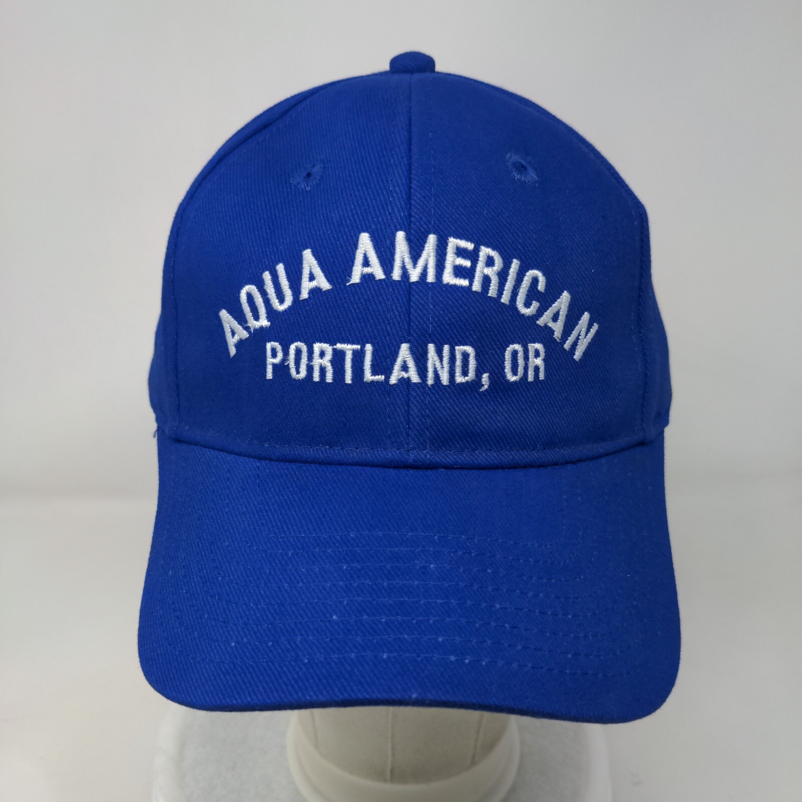 Aqua American Portland, OR Strapback Hat Blue OSFM Embroidered Otto | eBay