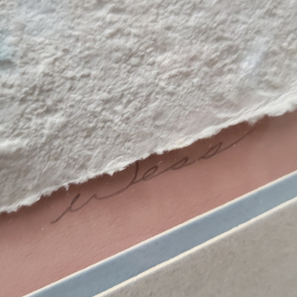 Figi Graphics Signed By Wess Dahlburg Navajo Canyon Cast Paper 3D Art ...