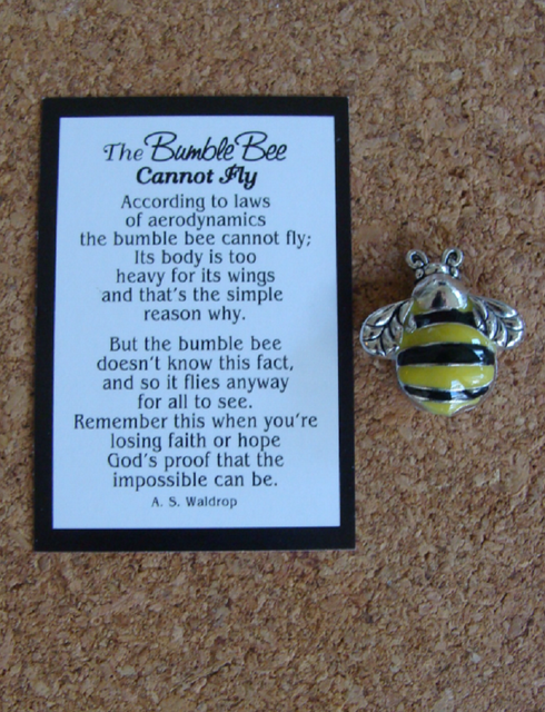 Bumble Bee Can Not Fly Pocket Charm Token by GANZ ER28460 Story Card ...