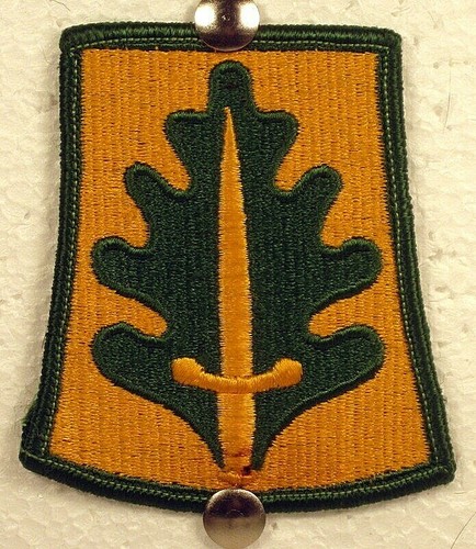 US Army 333rd Military Police MP Brigade Badge Full Color Patch ...