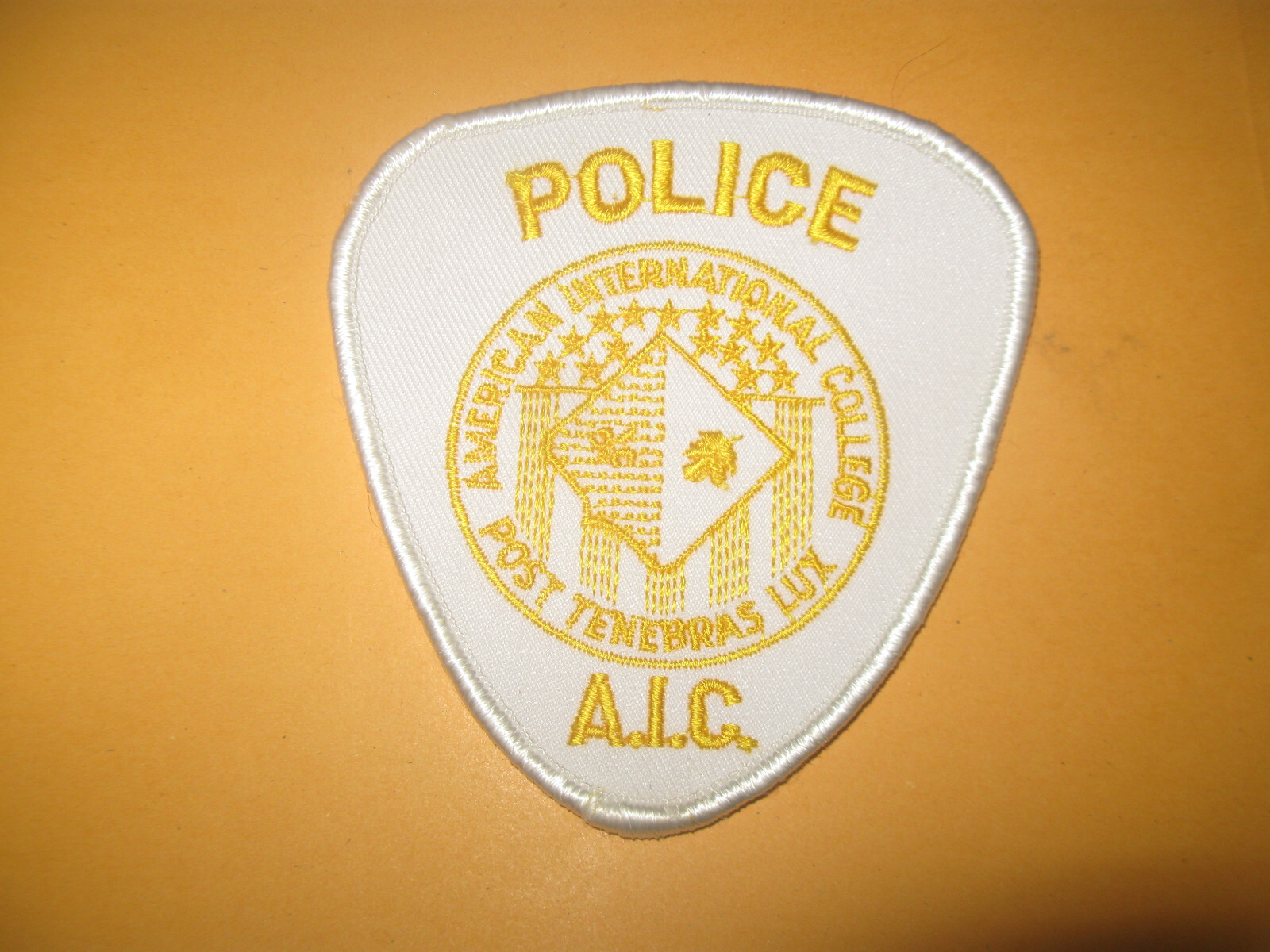 AMERICAN INTERNATIONAL COLLEGE MASSACHUSETTS POLICE PATCH | eBay