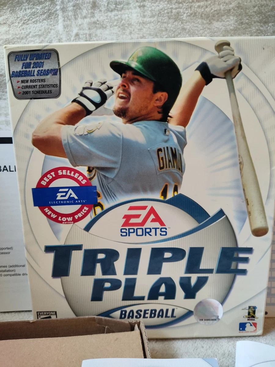 Play Baseball Computer Game