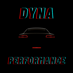 Dyna Performance | eBay Stores