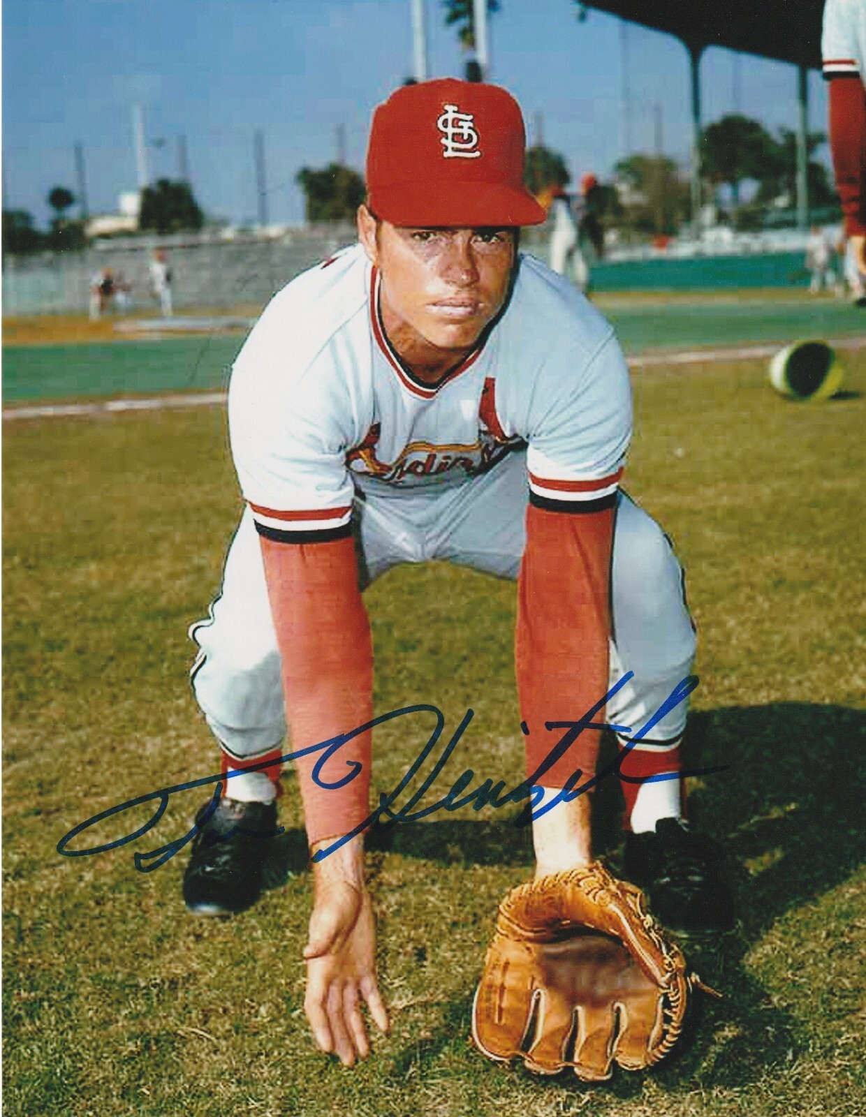 TOM HEINTZELMAN ST. LOUIS CARDINALS ACTION SIGNED 8X10 | eBay