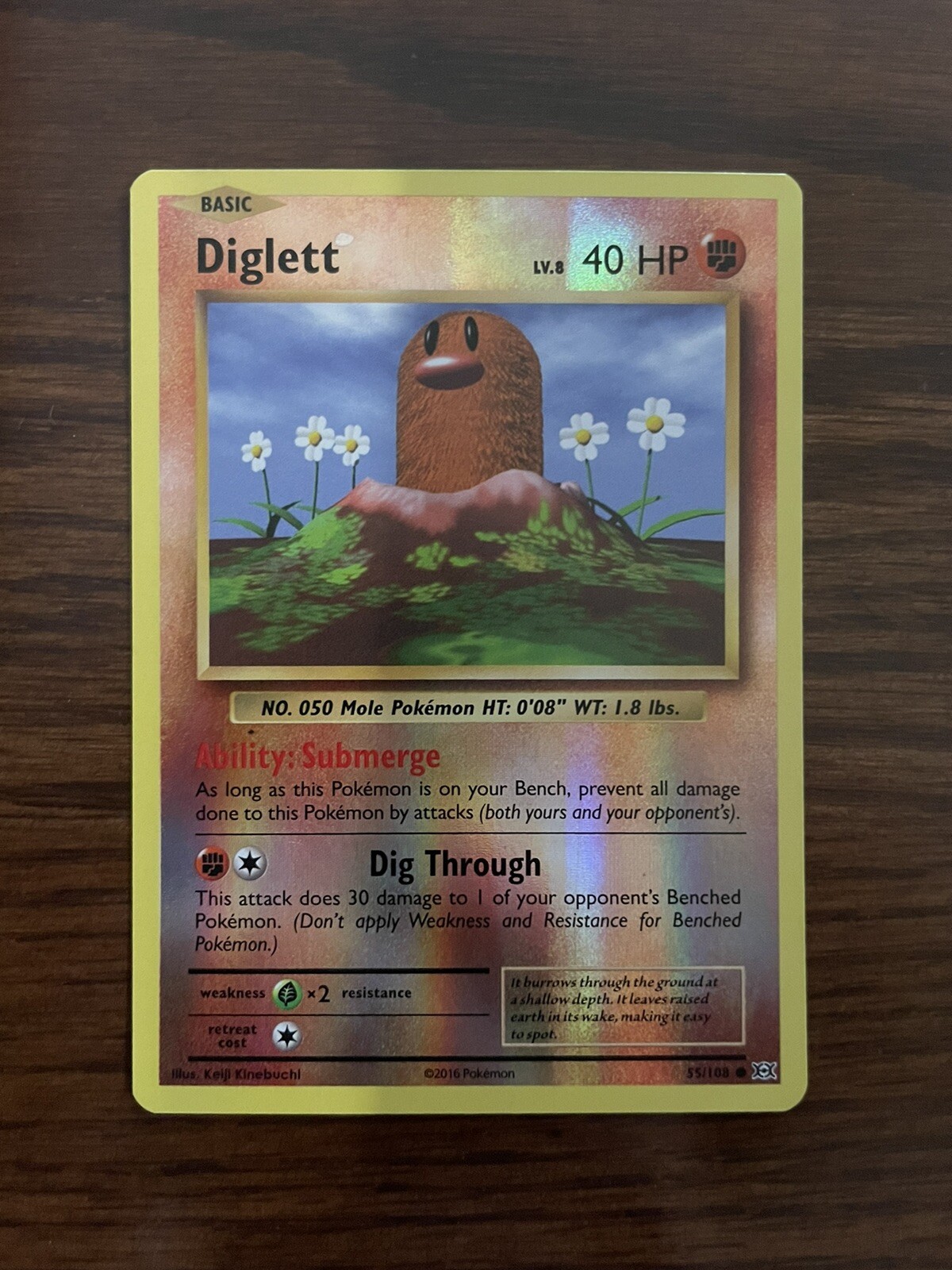 Diglett 55/108 Pokémon TCG: XY Evolutions Reverse Holo Common NM/M | eBay