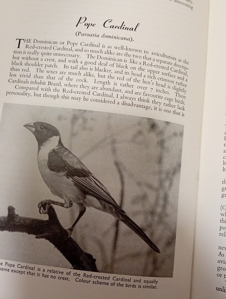 Foreign Bird Keeping. Forty years experience - Edward Jeffery Boosey ...