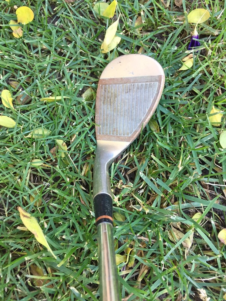 Carbite Tour Insert 5614 Wedge Series Sand Wedge True Temper Shaft ...