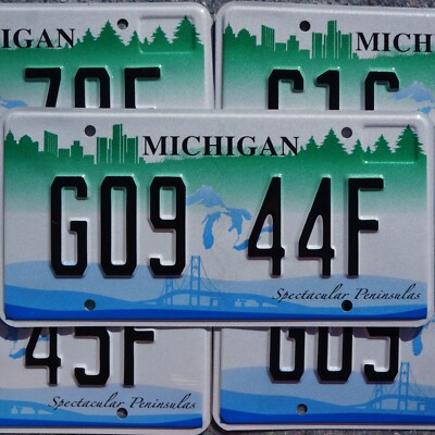 MICHIGAN LICENSE PLATES - Spectacular Peninsulas Green Blue License ...