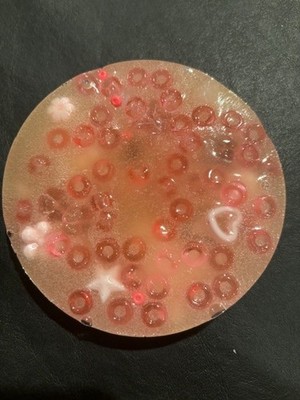 Picky Pad- PINK + 4" Mold Remeltable in the Microwave, Reusable Up To ...