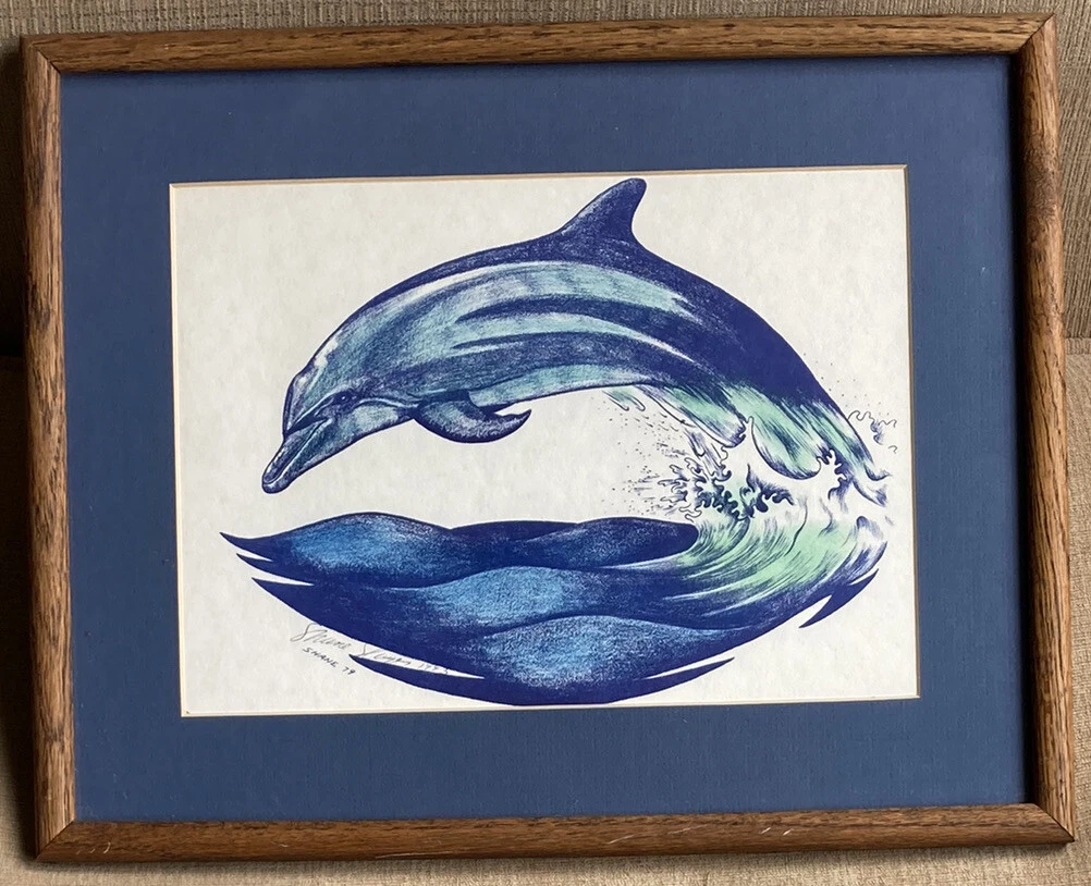 Jumping Dolphin Drawings