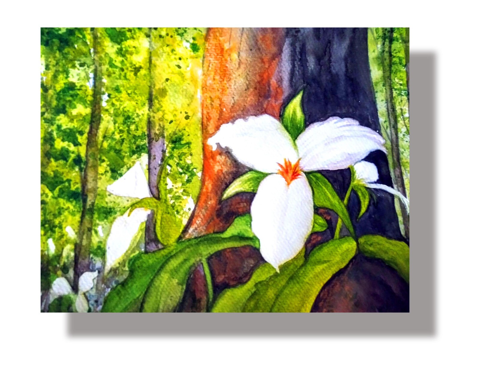 Trillium Flower Art Print on Canvas by Kathleen Wendt 8"x10" - Ready To ...