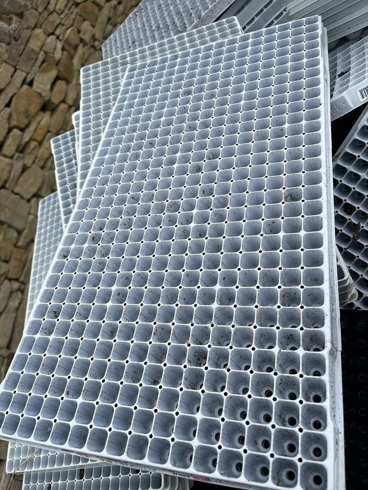 Seed Trays, Gardening Cell Trays, Plug Plant, Growing Trays. | eBay UK