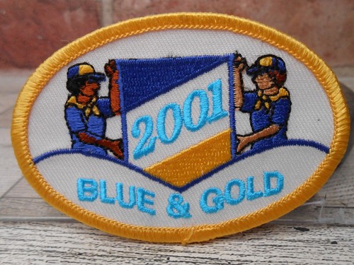 Vintage 2001 BSA Blue Gold Sew On Cloth Patch Badge Scouts Scouting | eBay